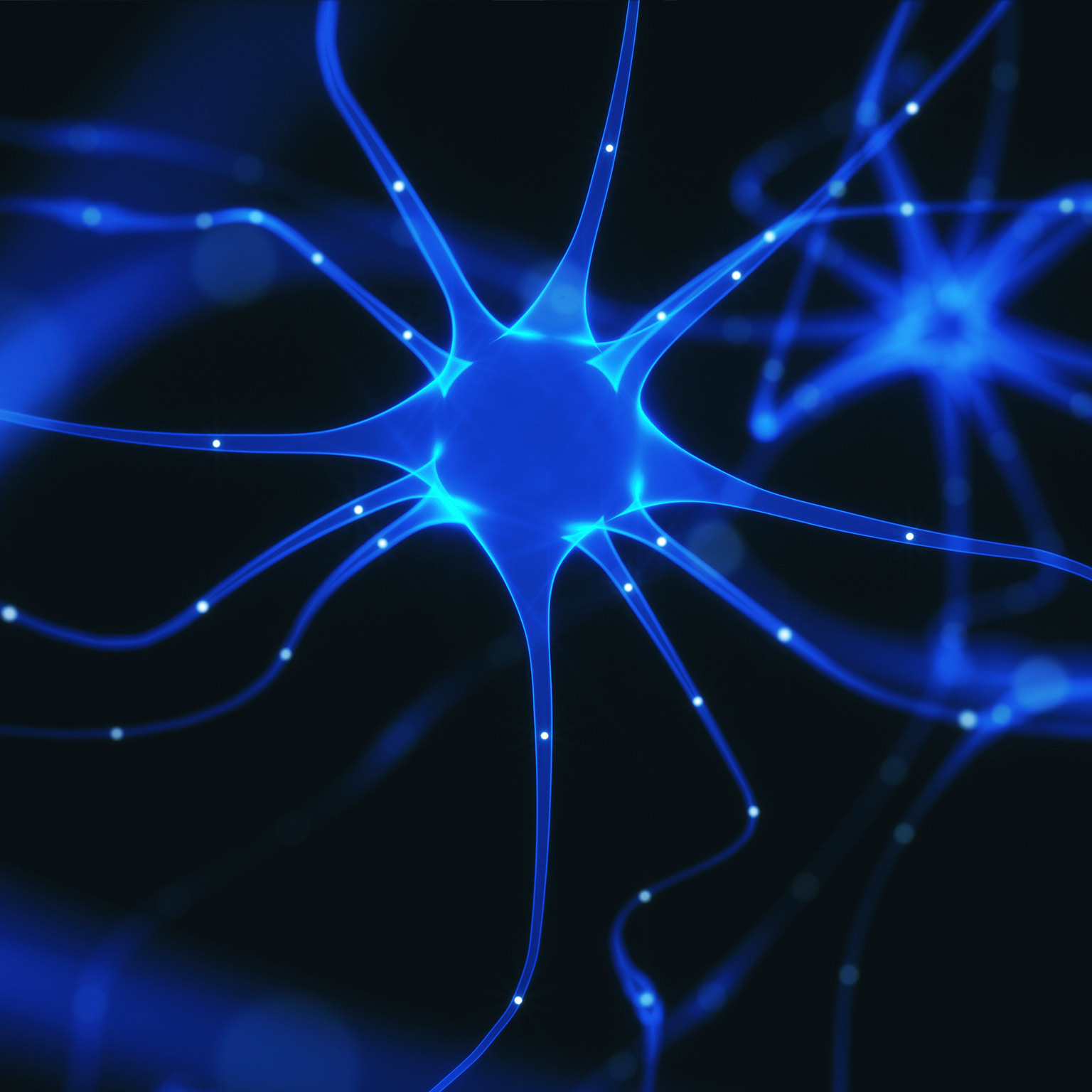 Künstliche Intelligenz: Potenzial von neuronalen Netzen gigantisch ...