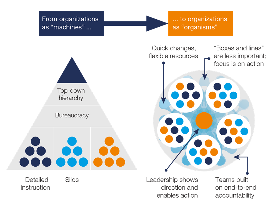 The five trademarks of agile organizations | DE | McKinsey